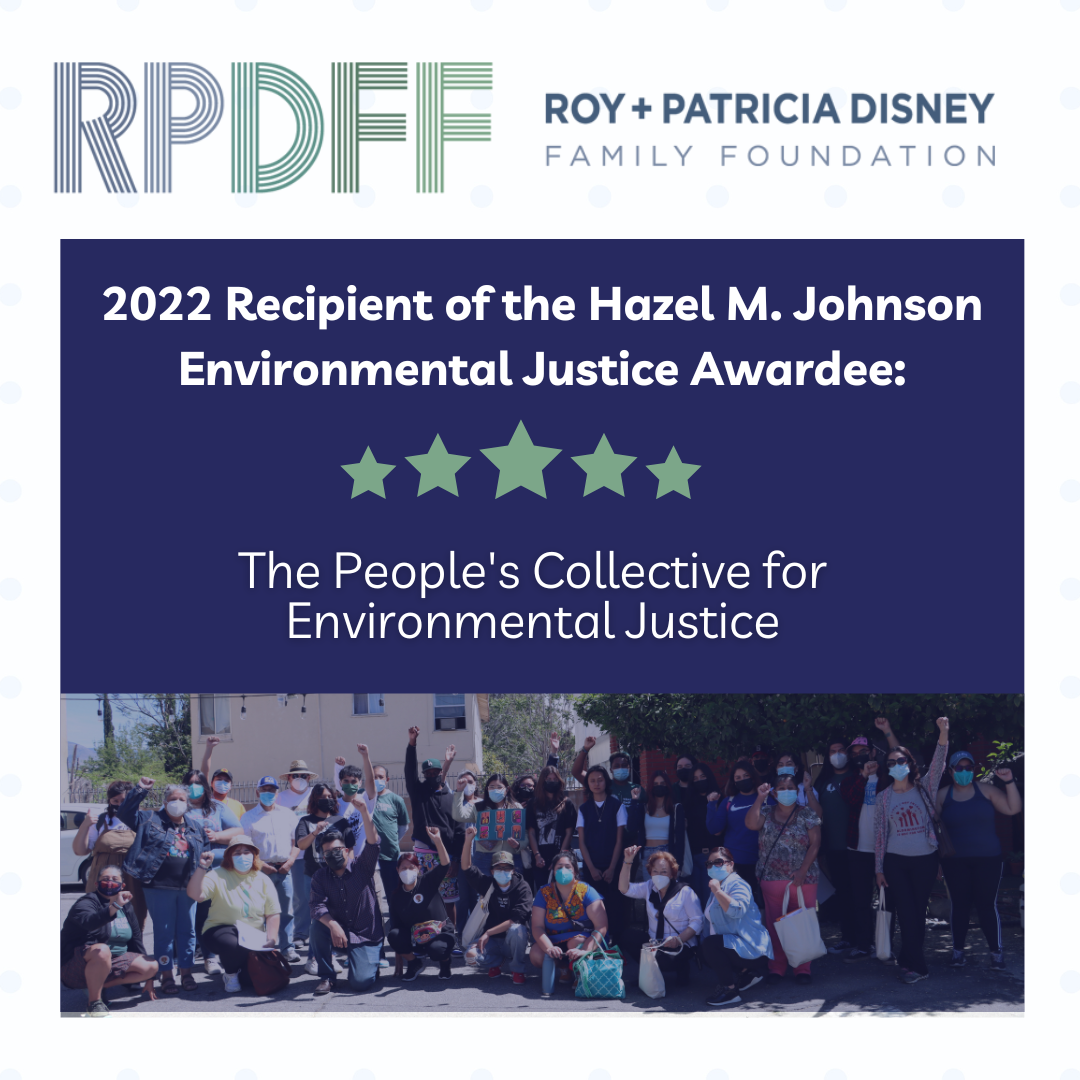 Copy-of-Important-announcement – The People's Collective for ...