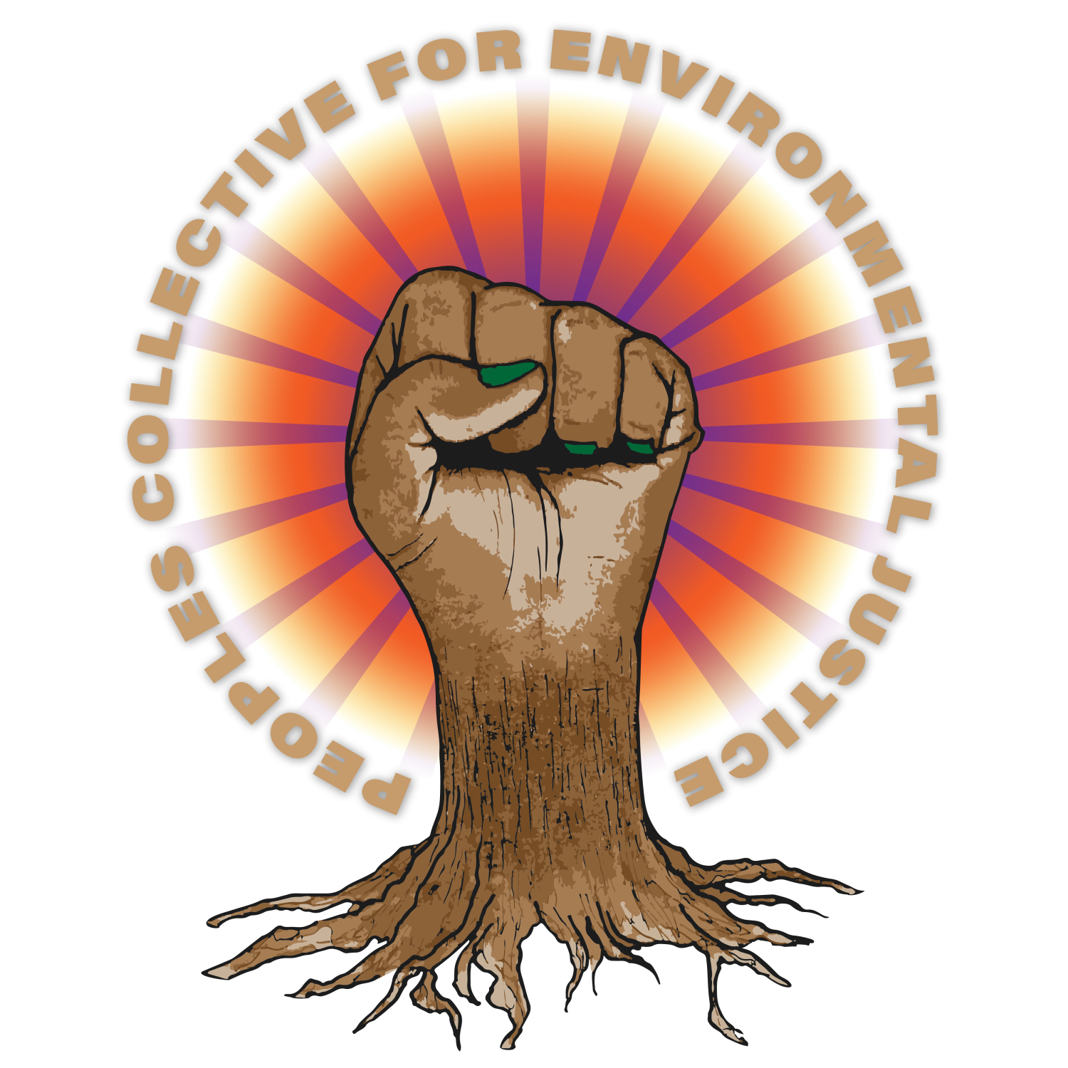 Our Team – The People's Collective for Environmental Justice Education Fund